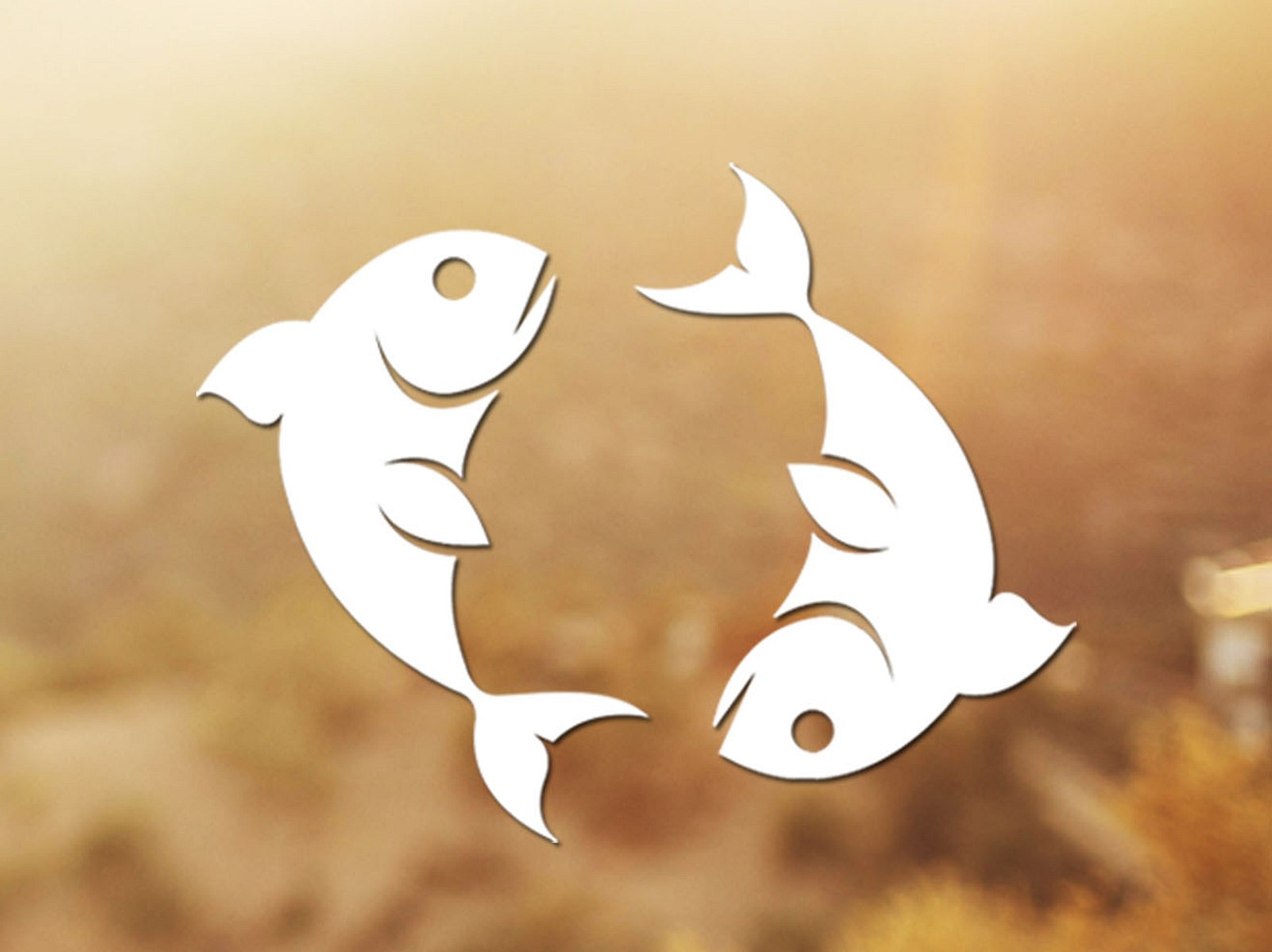 So wird die Liebe des Fischs besonders schön | Astrowoche