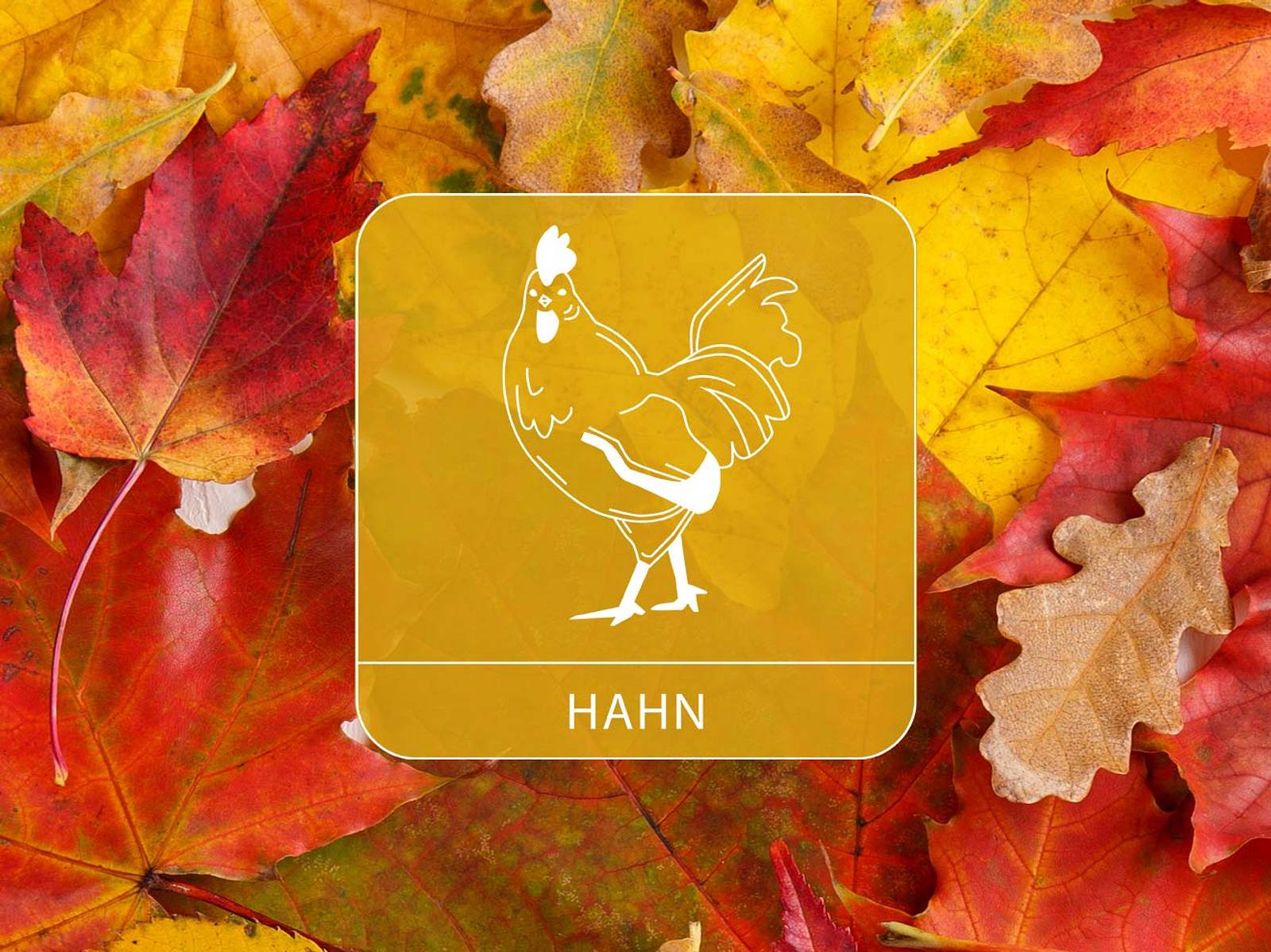 Chinesisches Monatshoroskop für Oktober 2020: Sternzeichen Hahn ...