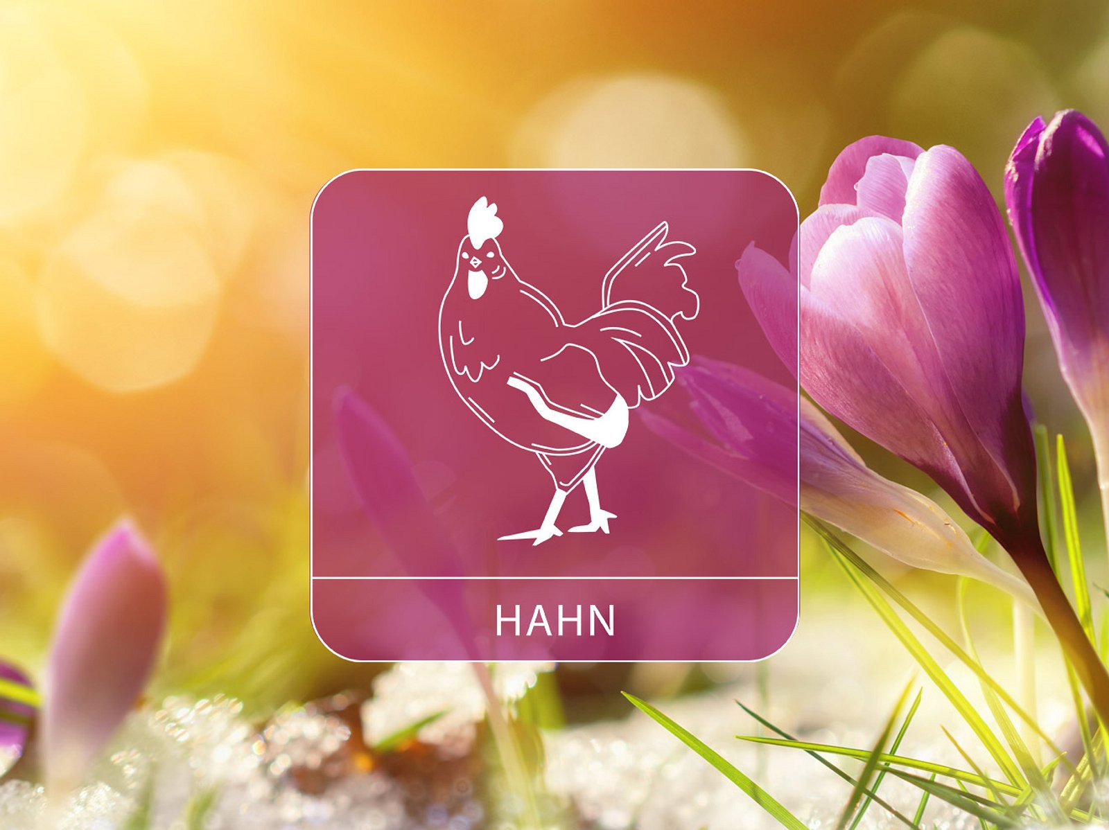 Chinesisches Monatshoroskop für März 2021: Sternzeichen Hahn | Astrowoche