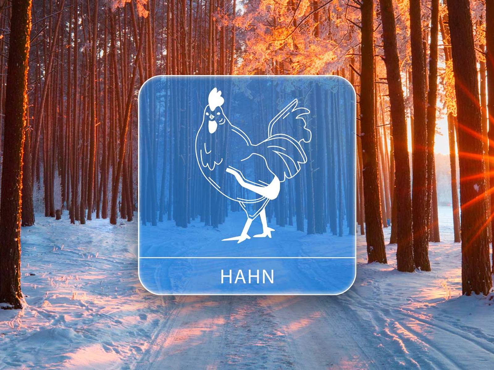 Chinesisches Monatshoroskop für Februar 2021: Sternzeichen Hahn ...