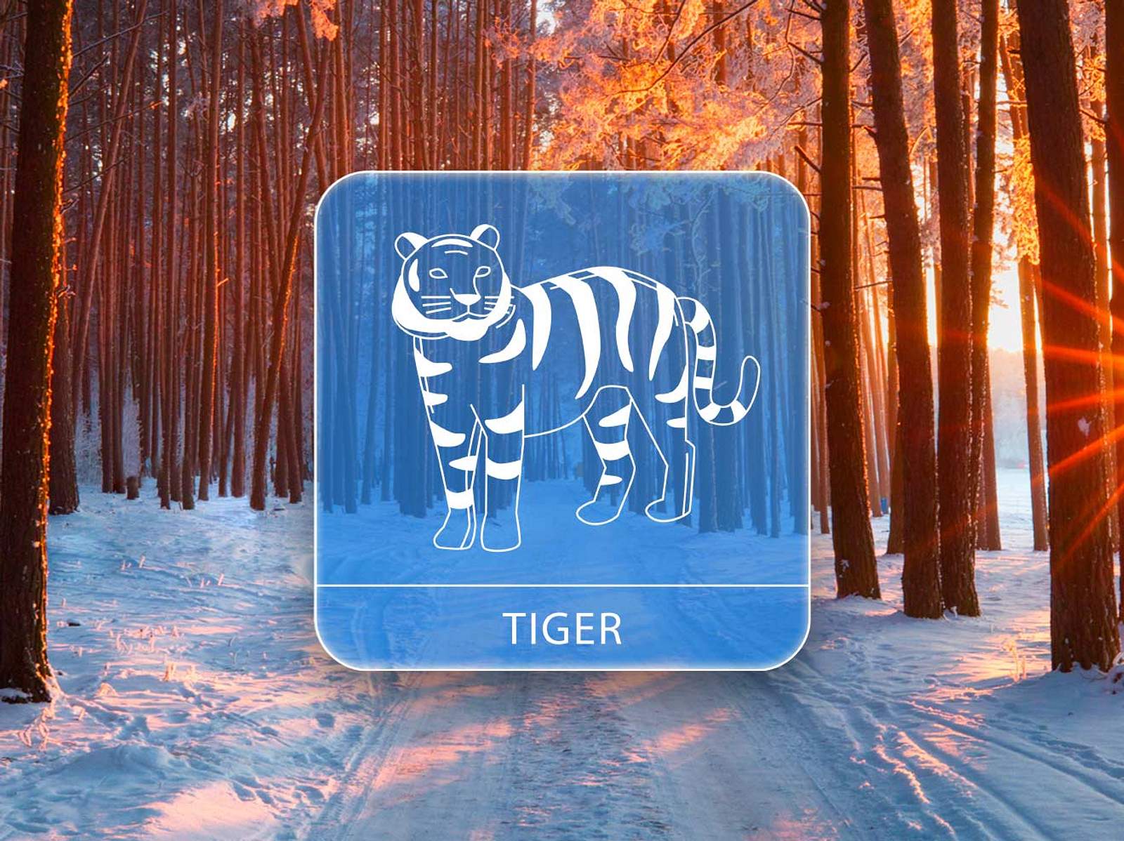 Chinesisches Monatshoroskop für Februar 2021: Sternzeichen Tiger | Astrowoche