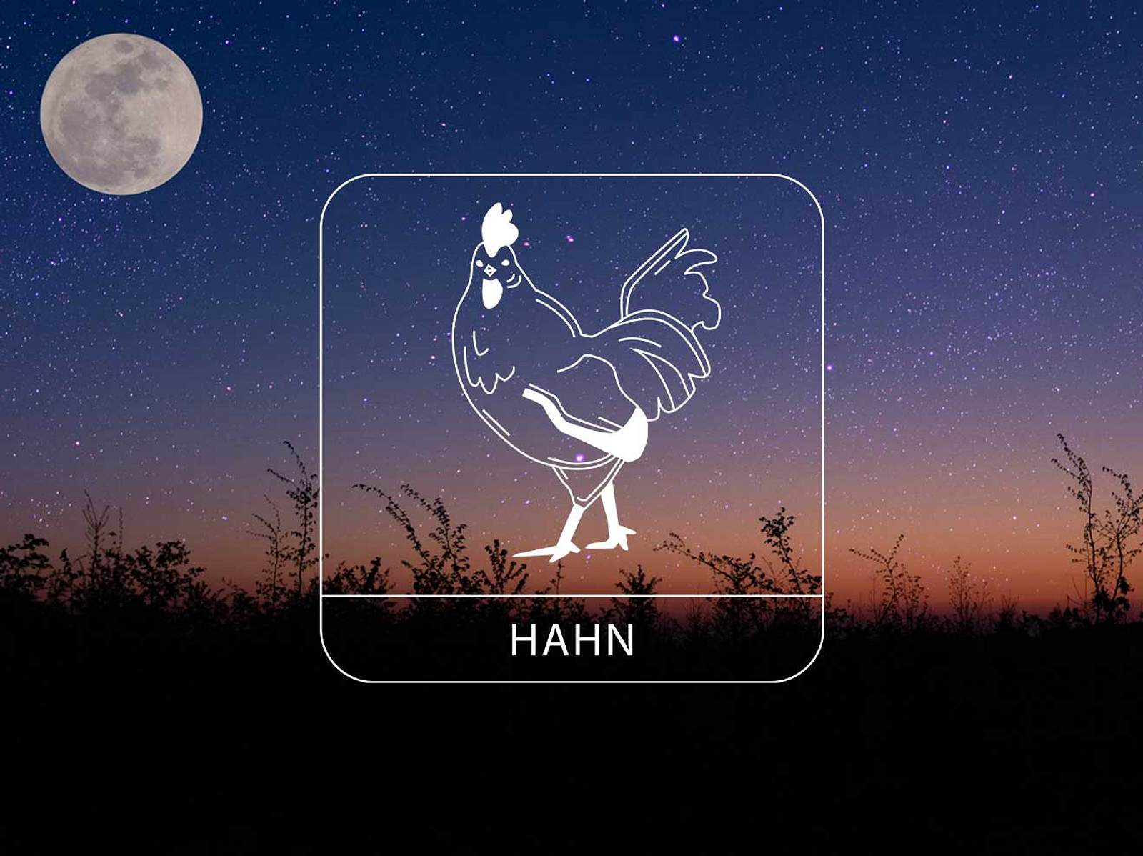 Chinesisches Monatshoroskop für März 2020: Sternzeichen Hahn | Astrowoche