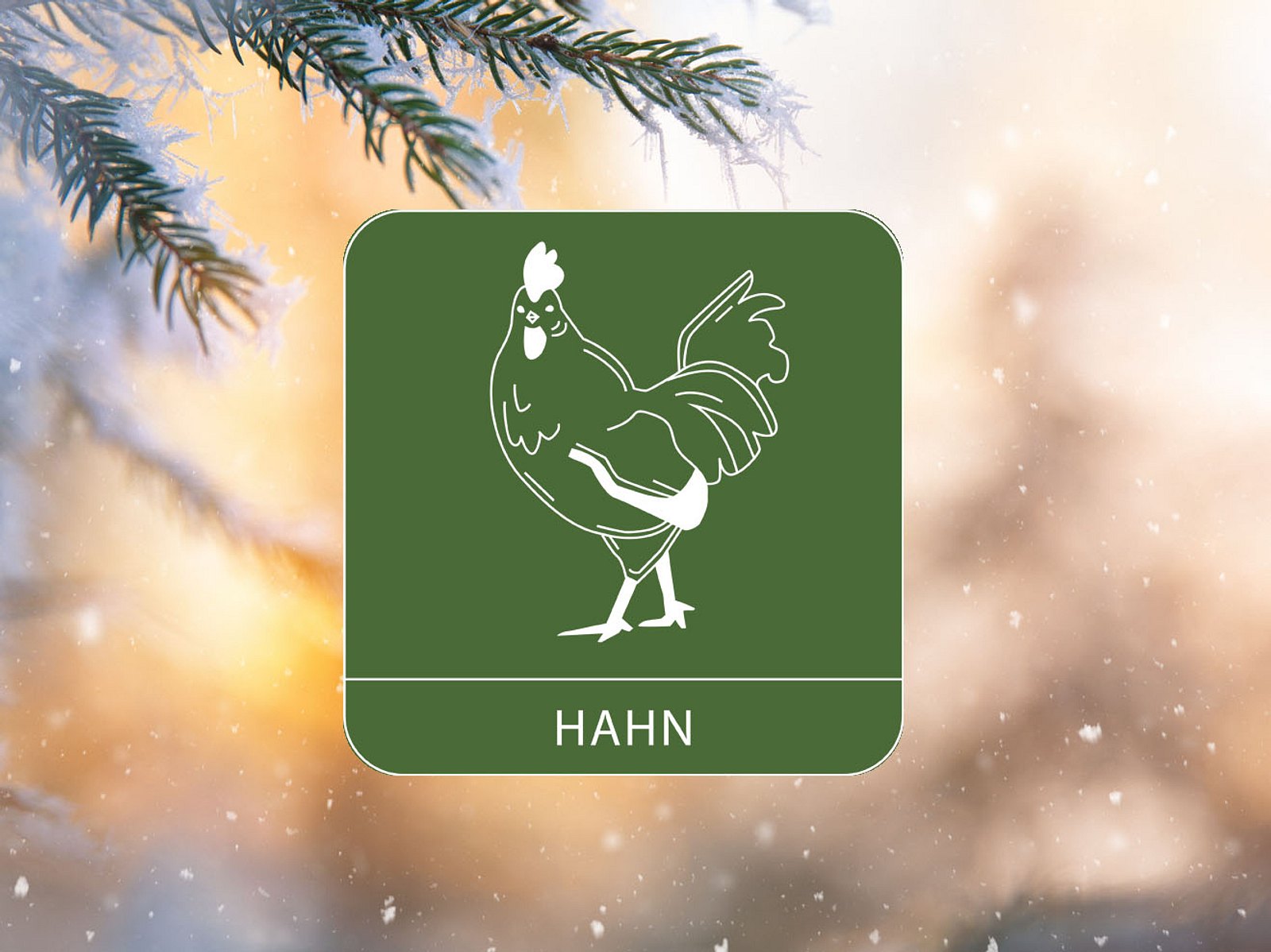 Das chinesische Monatshoroskop für Dezember 2023 für das Sternzeichen ...