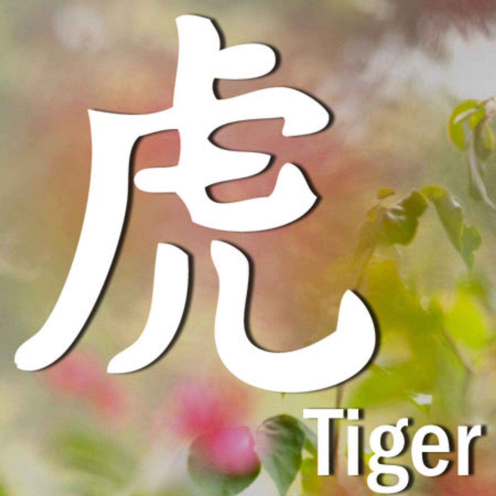 Das chinesische Sternzeichen: der Tiger | Astrowoche