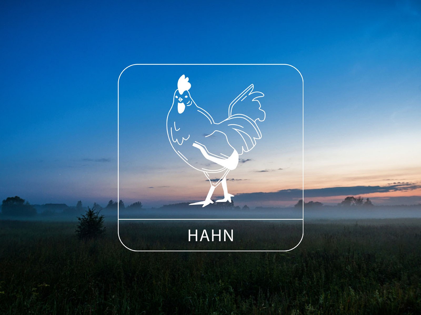 Chinesisches Monatshoroskop August 2021 für das Sternzeichen Hahn ...