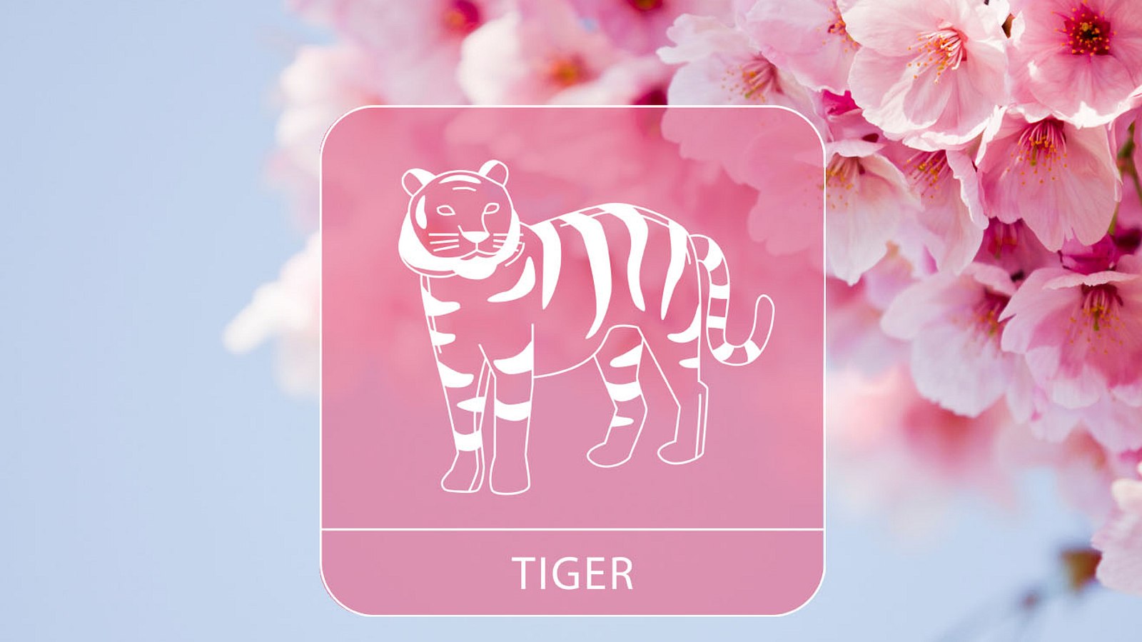 Das chinesische Monatshoroskop im April 2024 für das Sternzeichen Tiger | Astrowoche