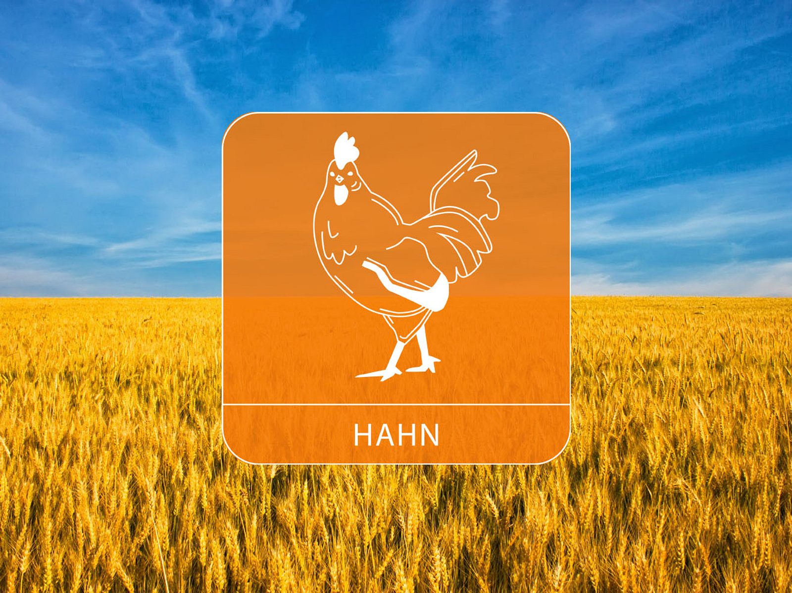 Chinesisches Monatshoroskop für August 2022: Sternzeichen Hahn | Astrowoche