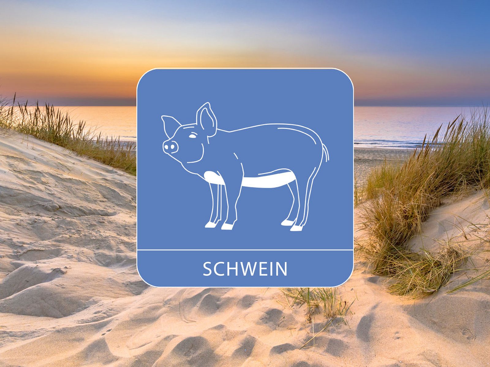 Das chinesische Monatshoroskop für August 2023: Sternzeichen Schwein ...