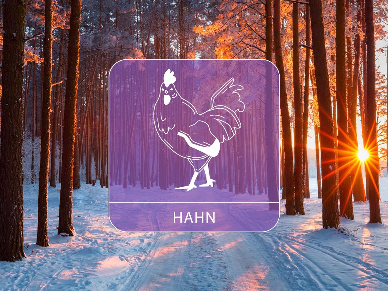 Chinesisches Monatshoroskop für Februar 2022: Sternzeichen Hahn ...