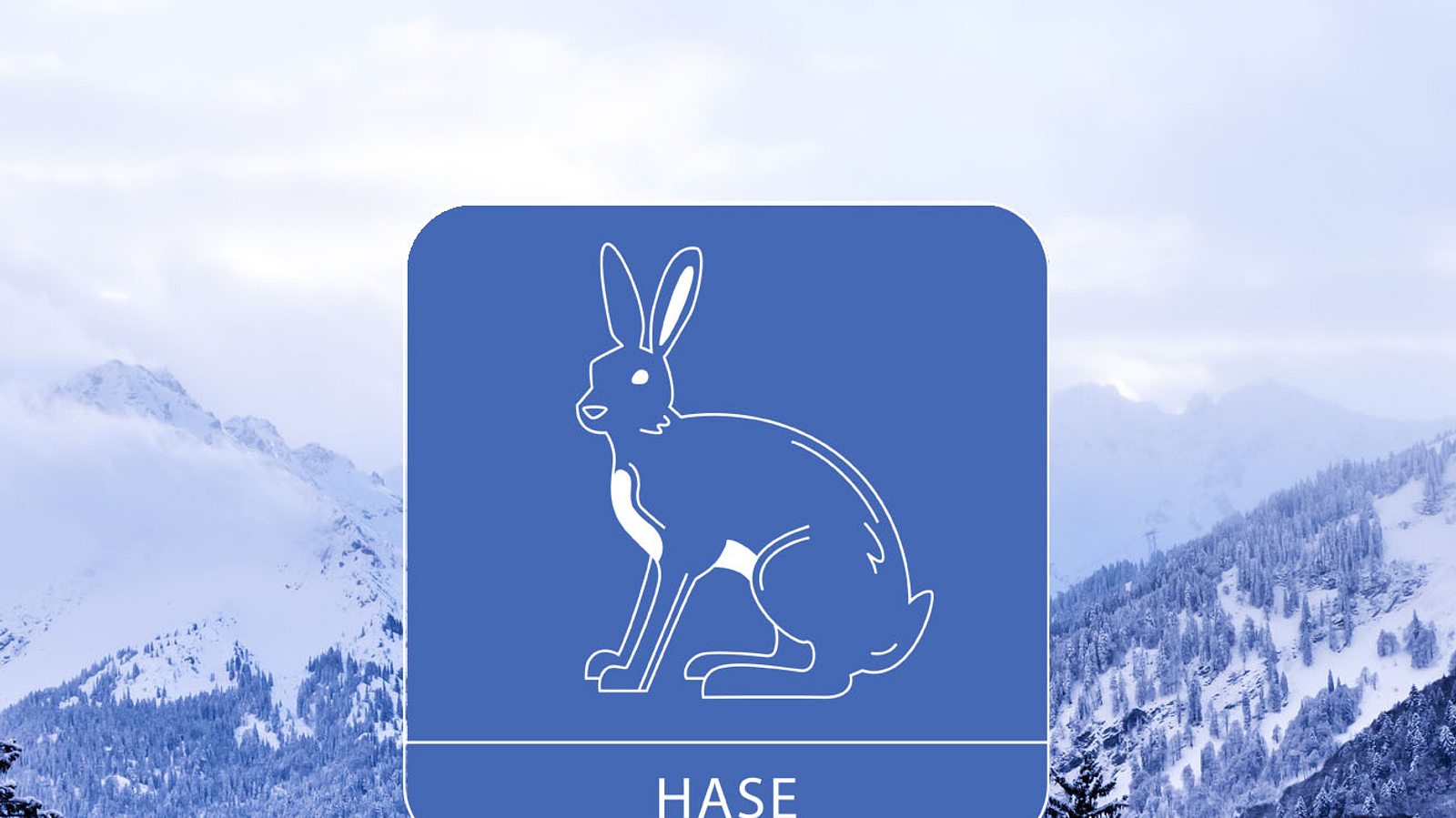 Das chinesische Monatshoroskop im Februar 2024 für das Sternzeichen Hase | Astrowoche