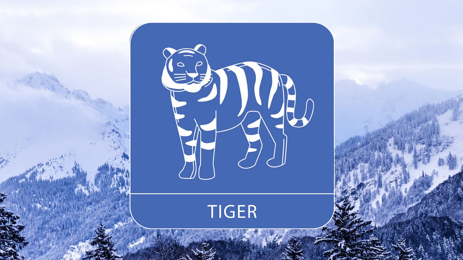 Das chinesische Monatshoroskop im Februar 2024 für das Sternzeichen Tiger | Astrowoche