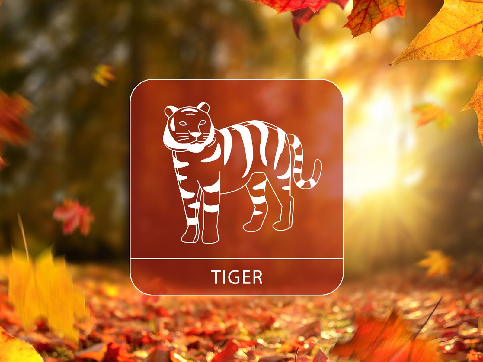 Das chinesische Monatshoroskop im Oktober 2025 für das Sternzeichen Tiger | Astrowoche