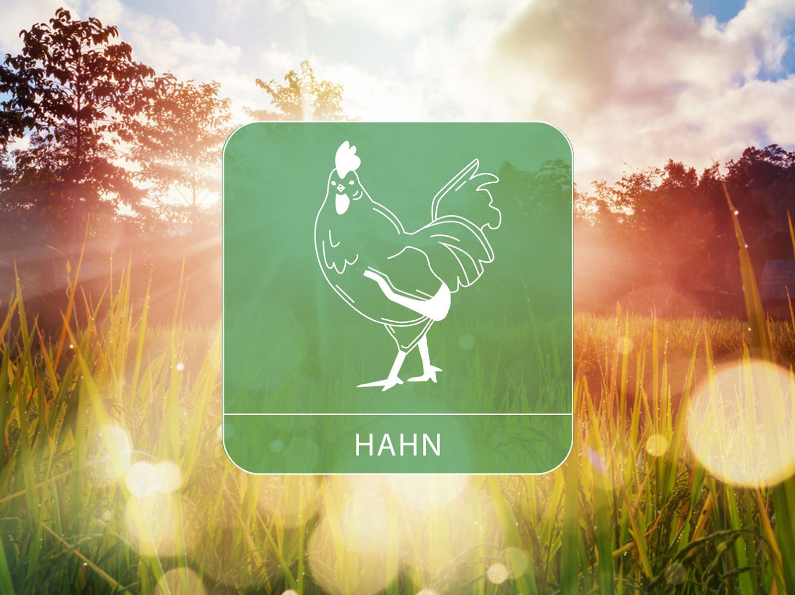 Chinesisches Monatshoroskop für Juli 2020: Sternzeichen Hahn | Astrowoche