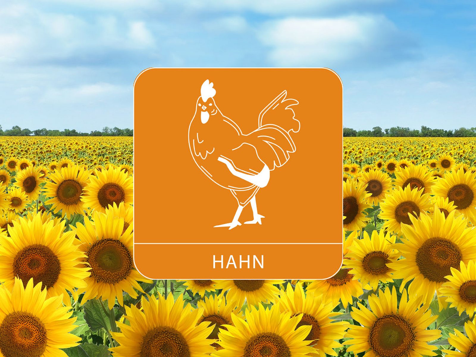 Das chinesische Monatshoroskop im Juli 2023: Sternzeichen Hahn | Astrowoche