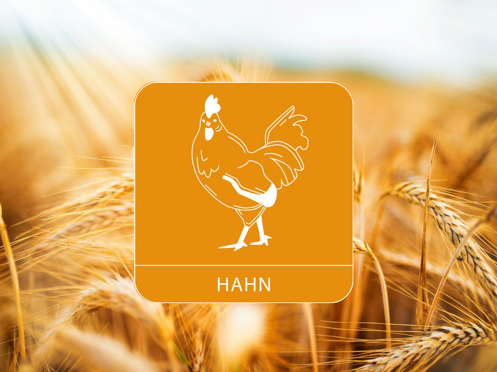 Das chinesische Monatshoroskop im Juni 2023: Sternzeichen Hahn | Astrowoche