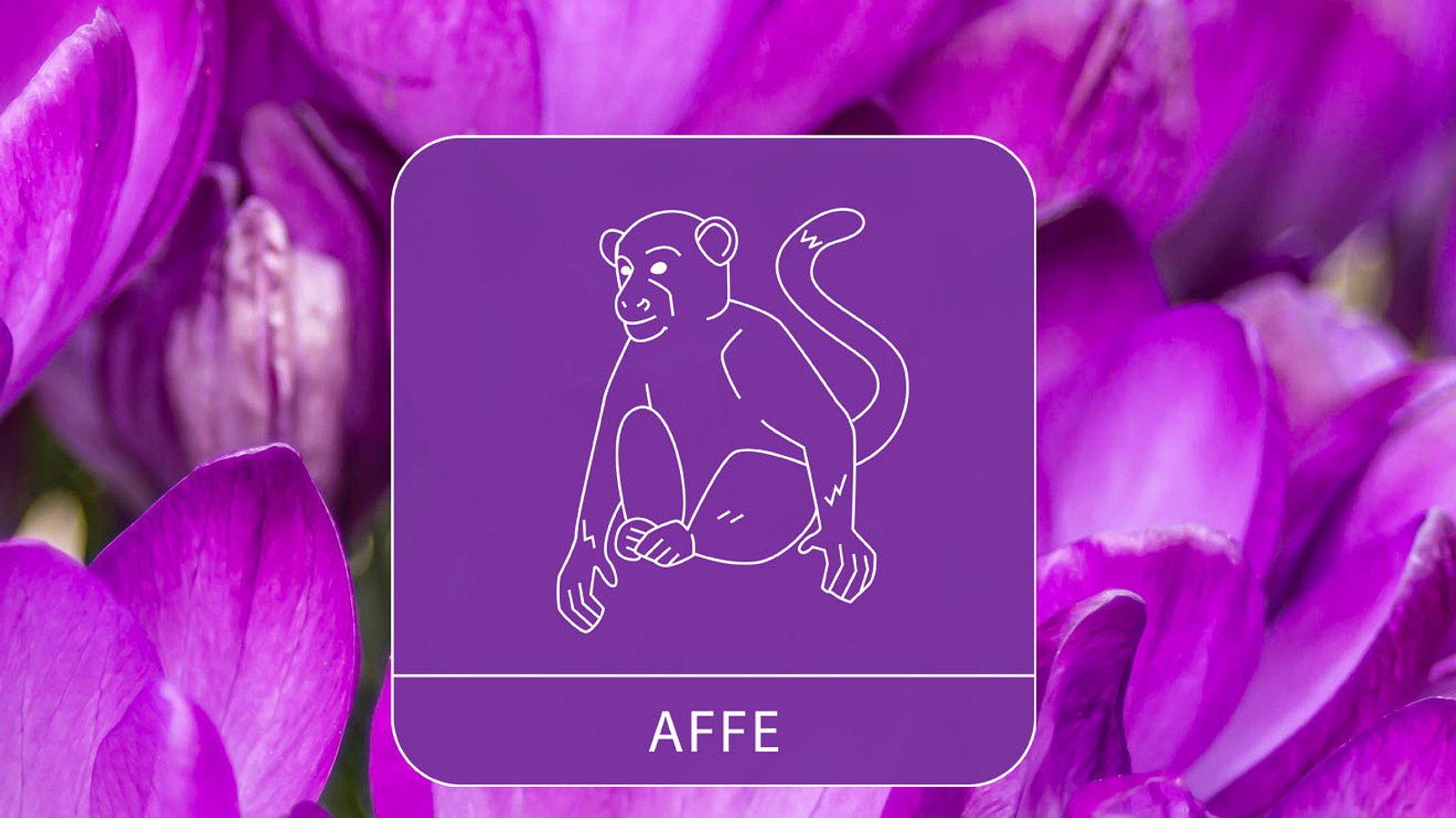 Das chinesische Monatshoroskop im März 2024 für das Sternzeichen Affe | Astrowoche