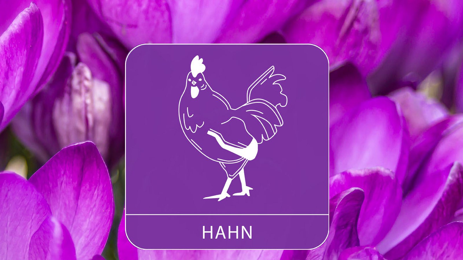 Das chinesische Monatshoroskop im März 2024 für das Sternzeichen Hahn ...