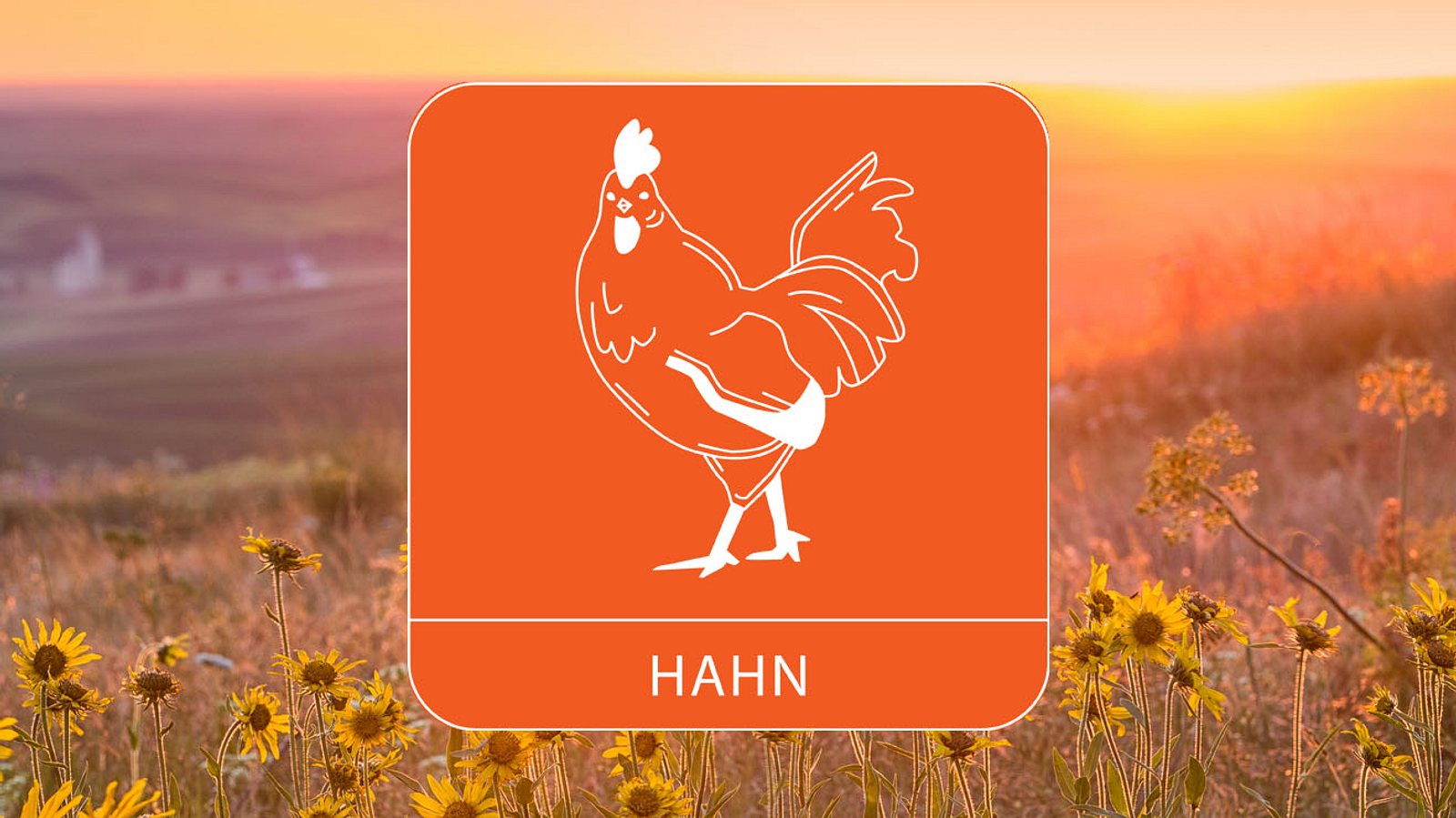 Das chinesische Monatshoroskop im Mai 2024 für das Sternzeichen Hahn ...