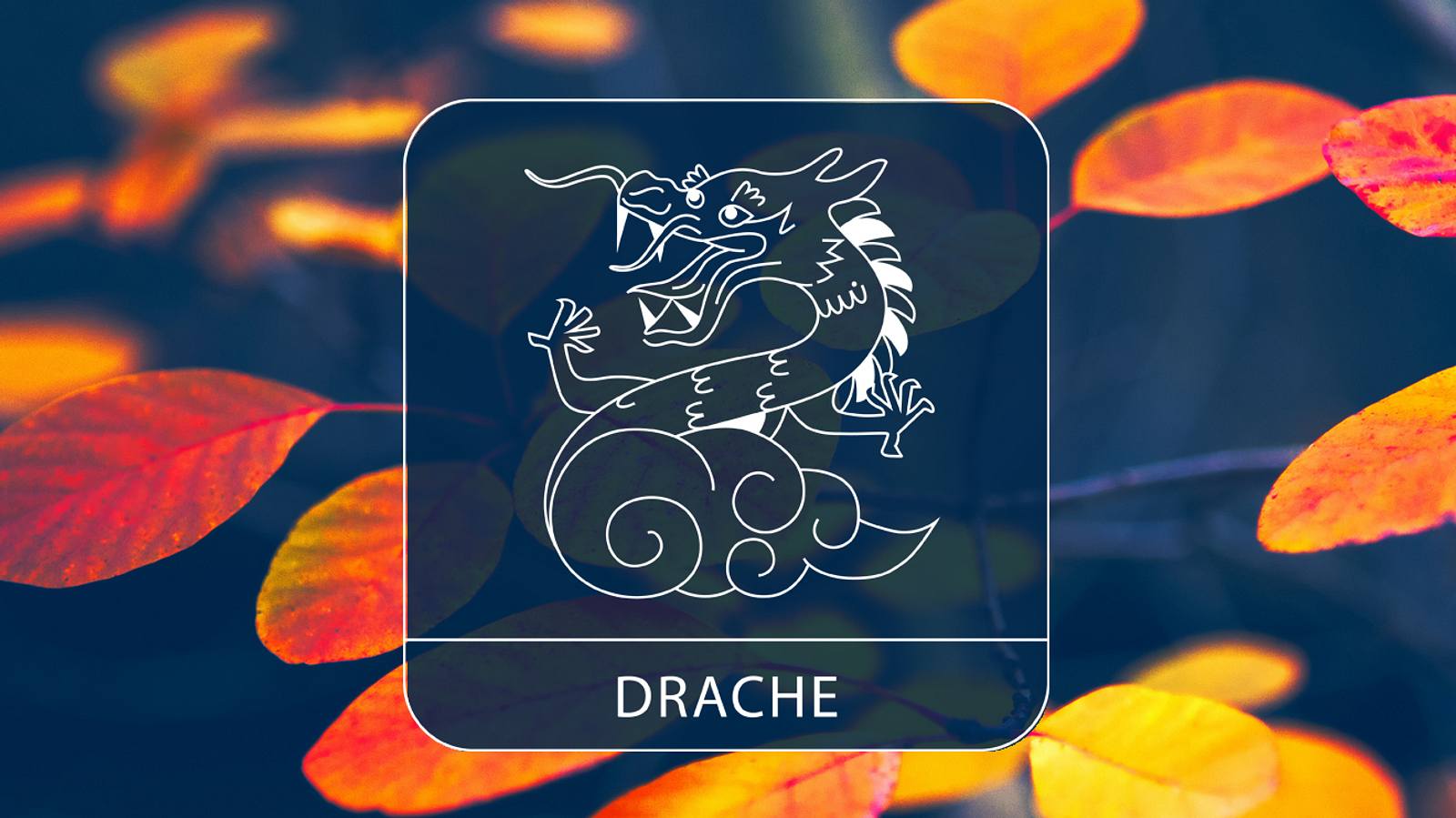 Das chinesische Monatshoroskop im November 2024 für das Sternzeichen Drache | Astrowoche