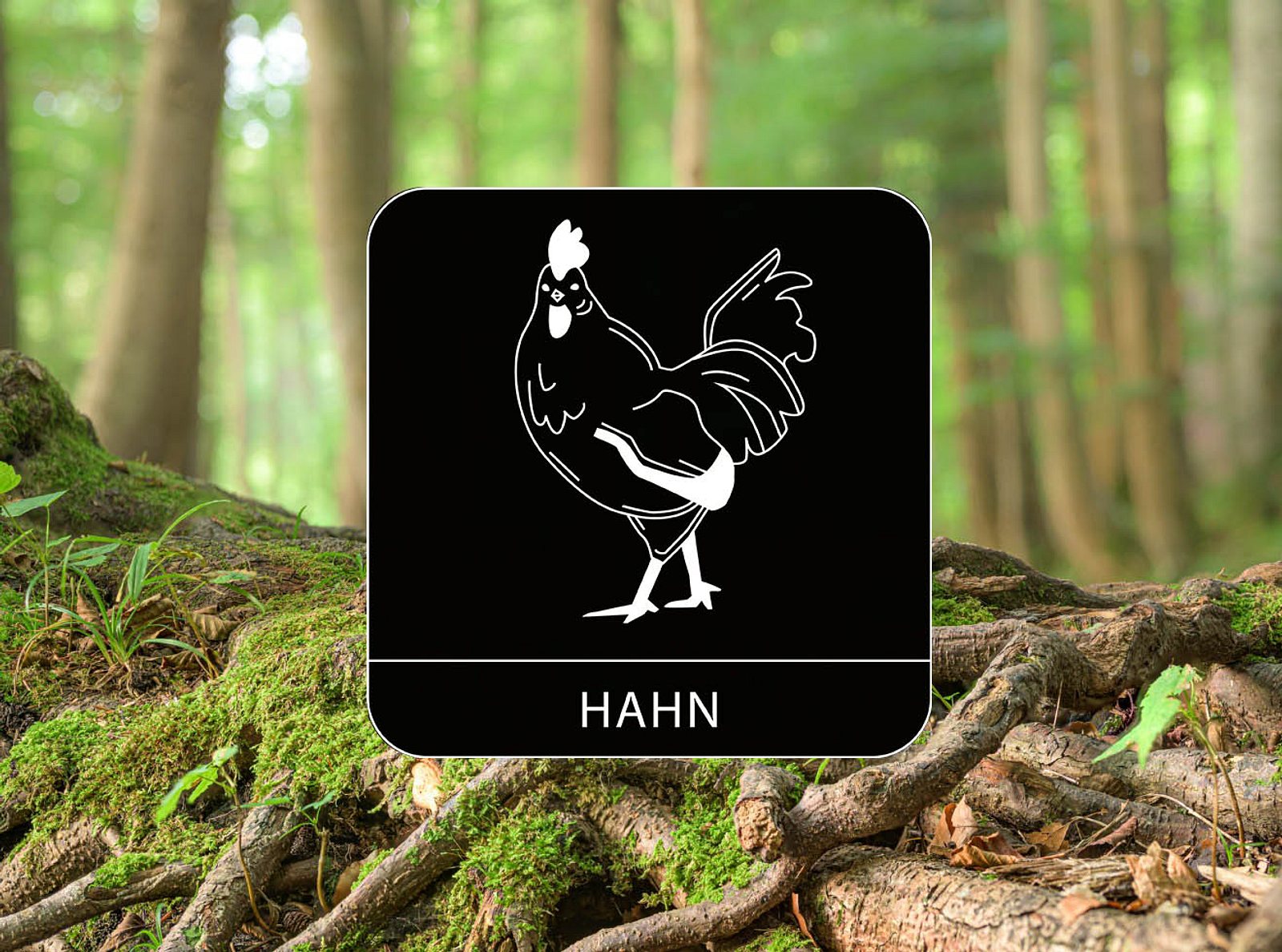 Chinesisches Monatshoroskop November 2021 für das Sternzeichen Hahn ...