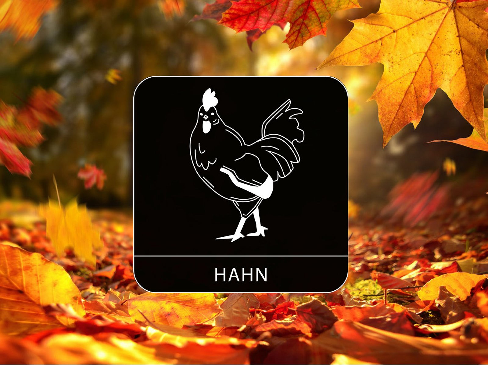 Chinesisches Monatshoroskop Oktober 2021 für das Sternzeichen Hahn ...