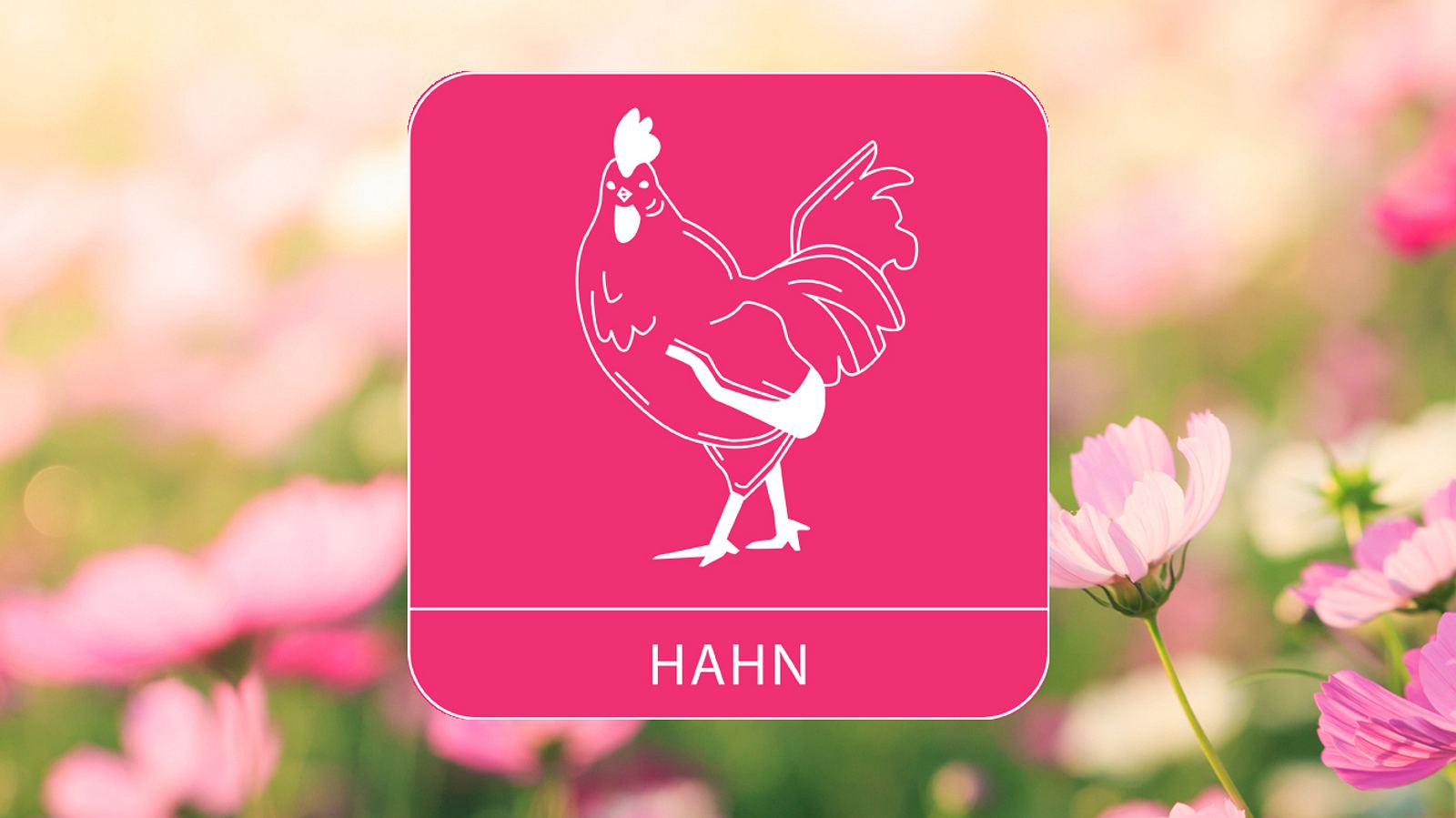 Das chinesische Monatshoroskop im September 2024 für das Sternzeichen ...