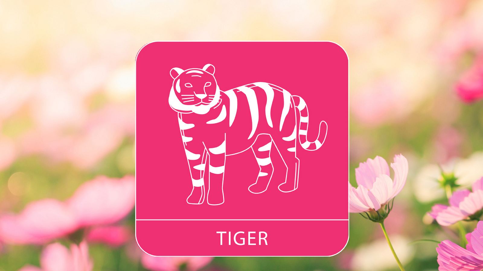 Das chinesische Monatshoroskop im September 2024 für das Sternzeichen Tiger | Astrowoche