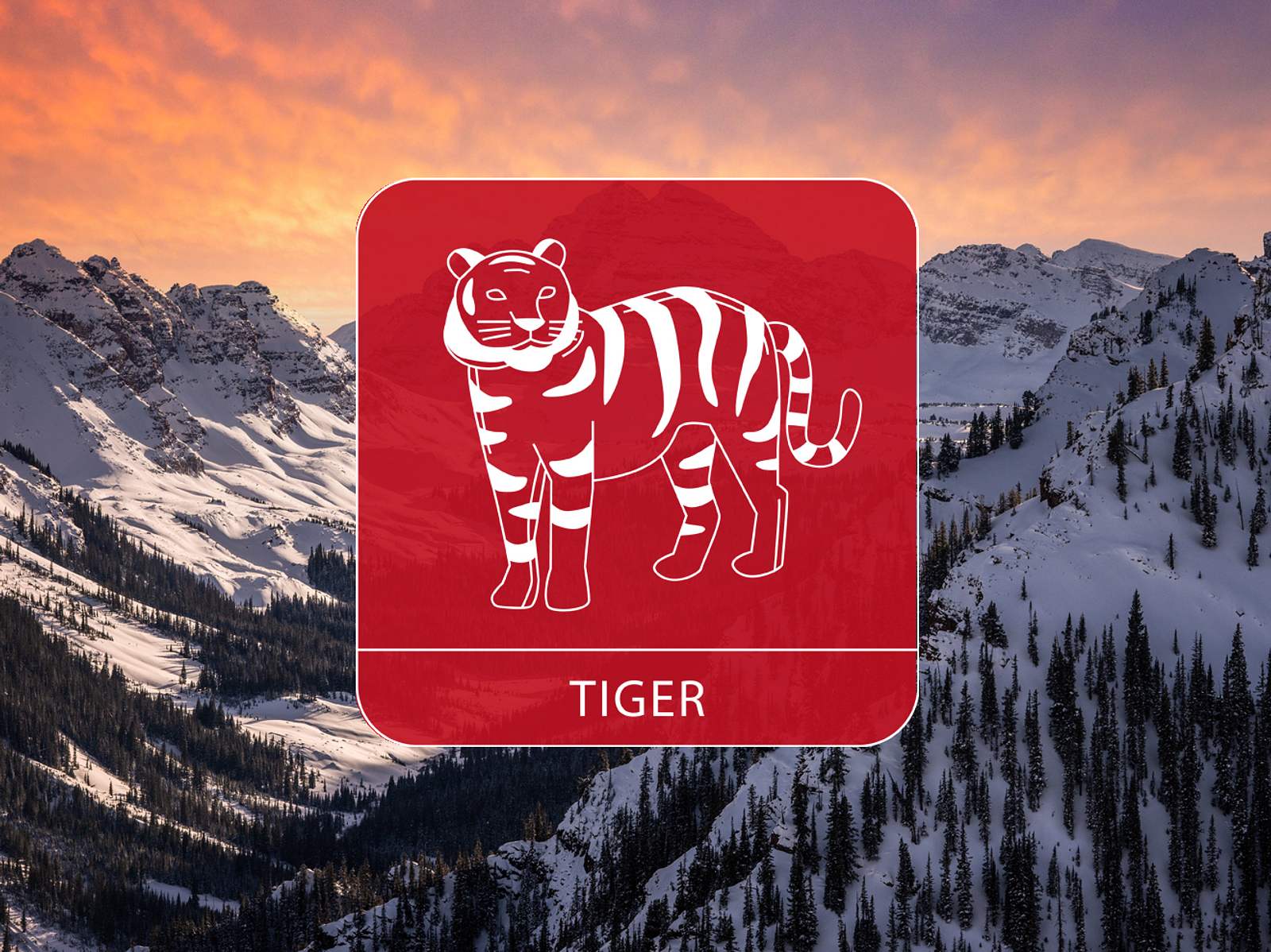 Das chinesische Monatshoroskop im Februar 2025 für das Sternzeichen Tiger | Astrowoche