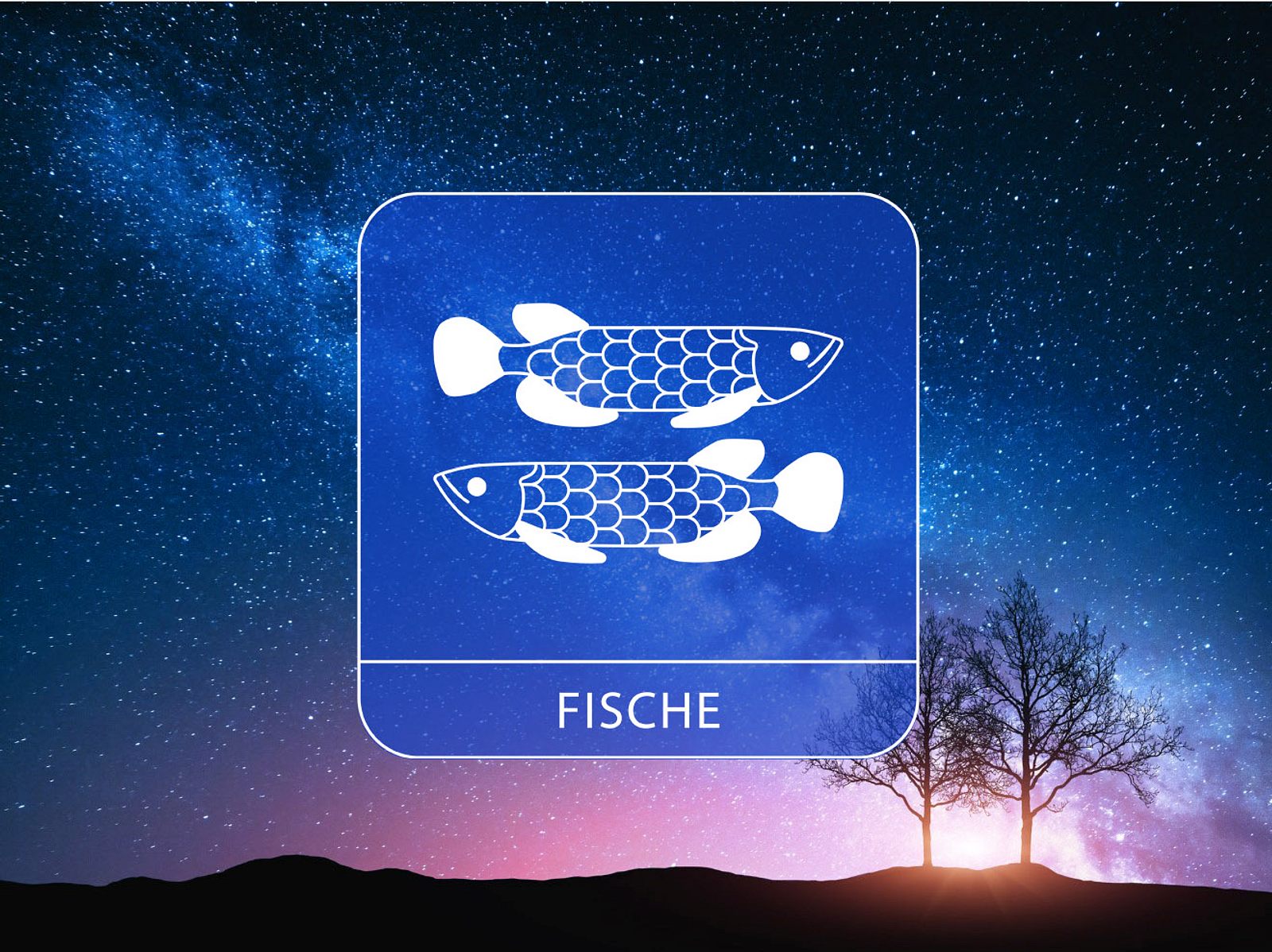 Das Geld-Horoskop ab 30.01.2023: Sternzeichen Fische | Astrowoche