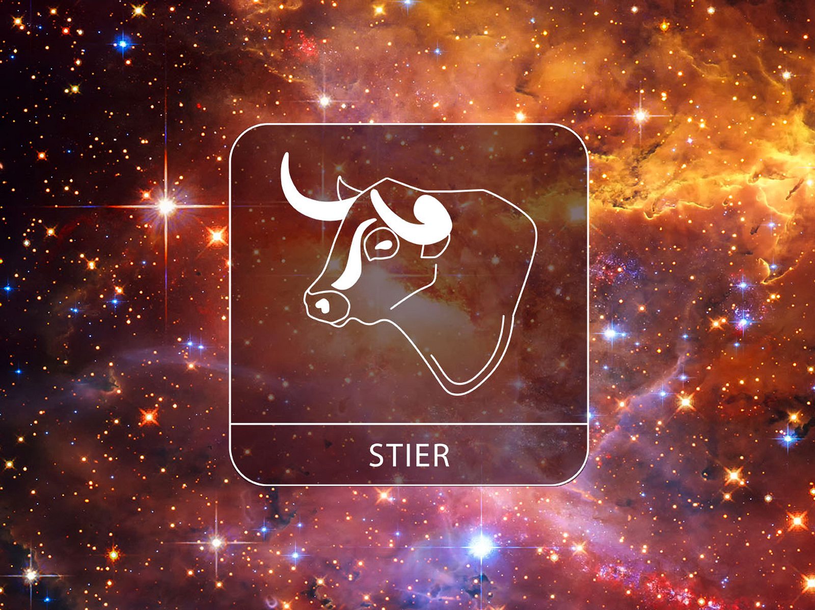Das Horoskop der goldenen Aussichten ab dem 15.09.2025: Sternzeichen Stier | Astrowoche