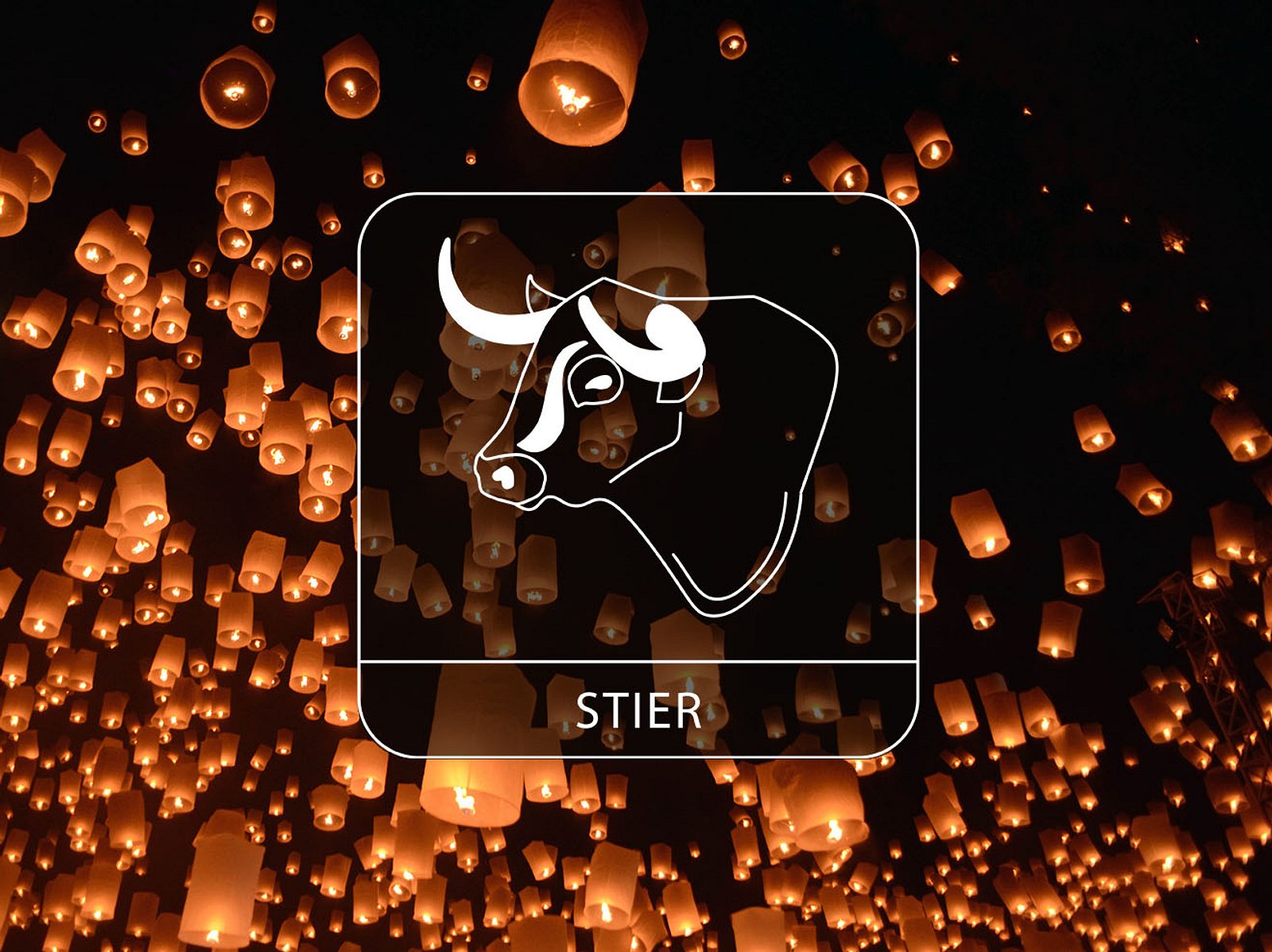 Das Horoskop der großen Lebenschance ab dem 24.02.2025: Sternzeichen Stier | Astrowoche