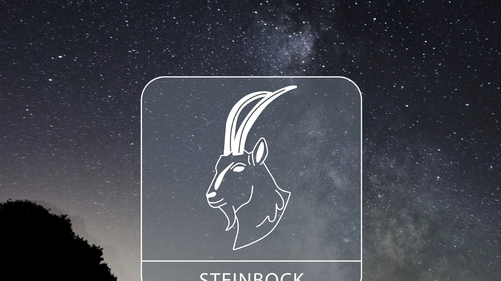 Steinbock Marz 2023