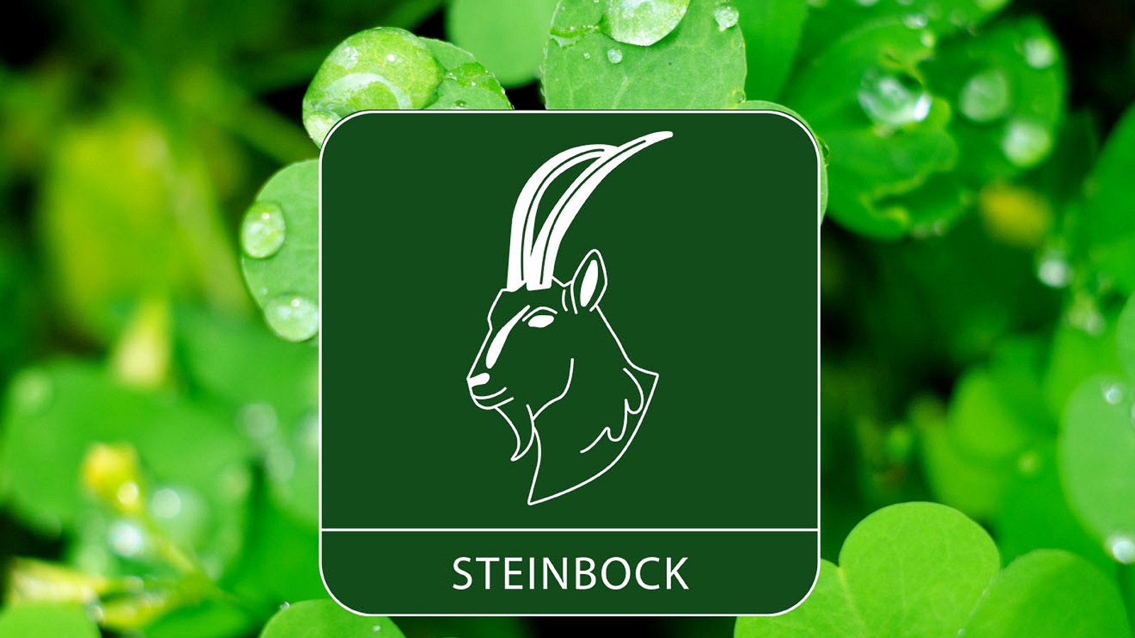 Die Glückstage für das Sternzeichen Steinbock im April 2024 | Astrowoche