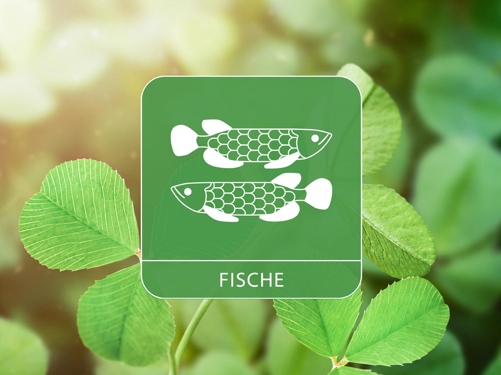 Die Glückstage im Januar 2025 für das Sternzeichen Fische | Astrowoche