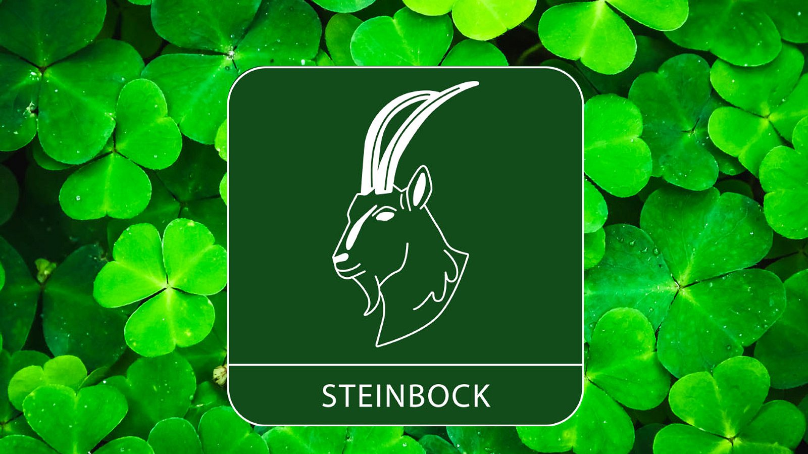 Die Glückstage für das Sternzeichen Steinbock im März 2024 | Astrowoche