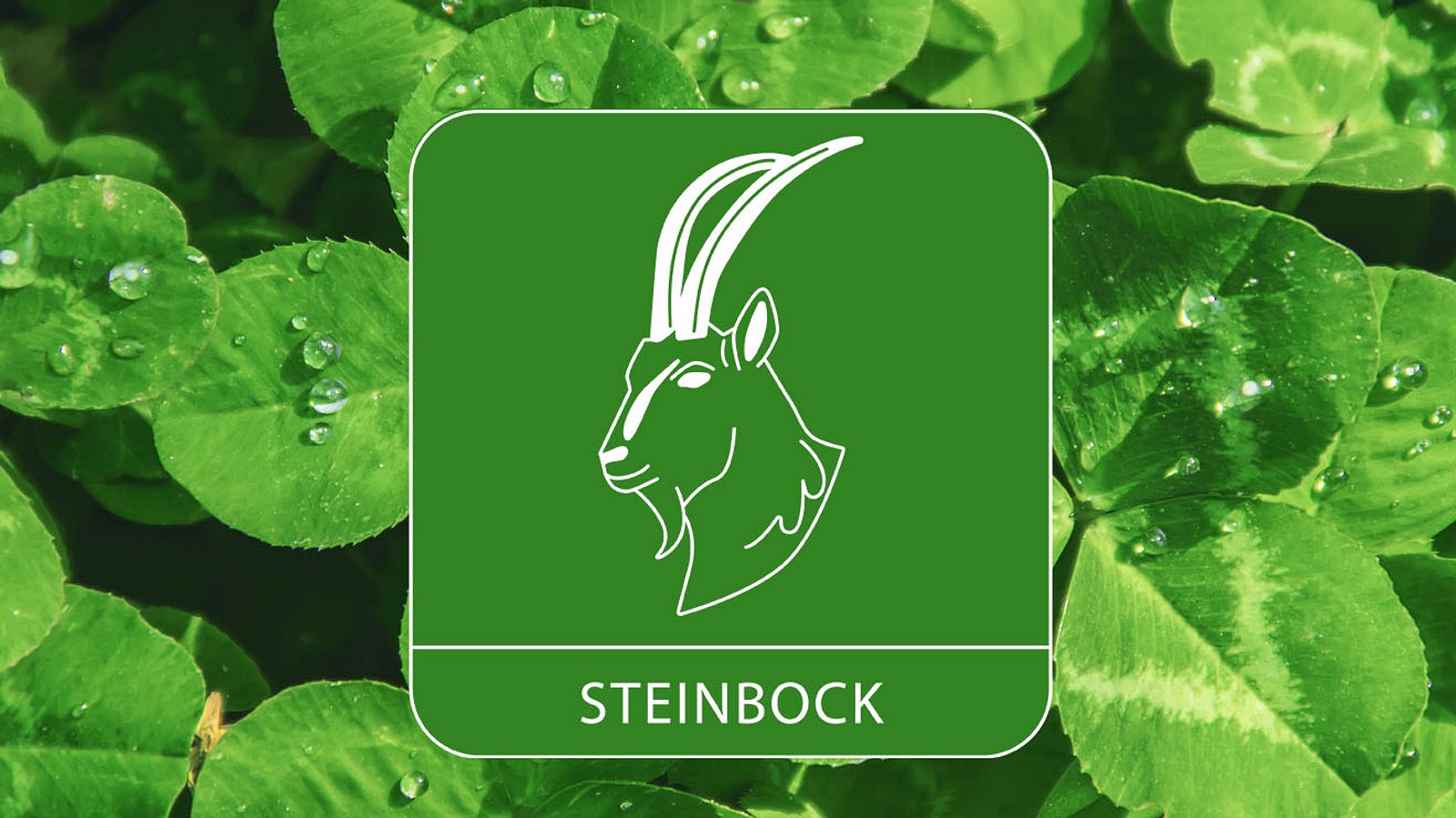 Die Glückstage für das Sternzeichen Steinbock im Mai 2024 | Astrowoche