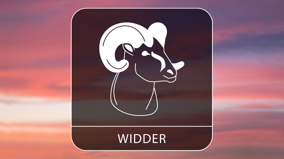 Horoskope Widder: Alle Horoskope auf einen Blick | Astrowoche
