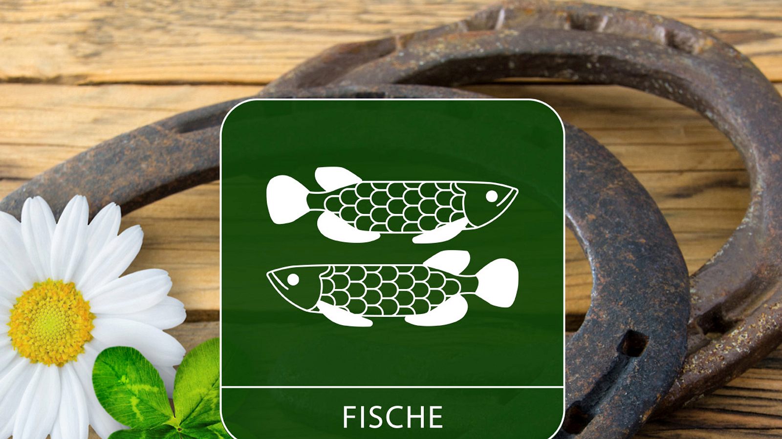 Die Glücksbringer 2024: Sternzeichen Fische | Astrowoche