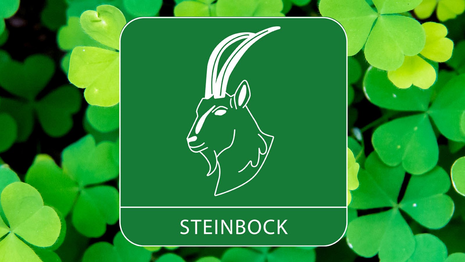 Alle Glückstage für das Sternzeichen Steinbock im November 2023 | Astrowoche