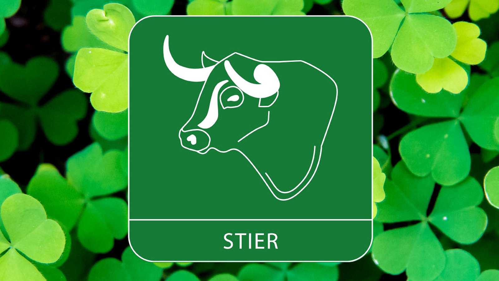 Alle Glückstage für das Sternzeichen Stier im November 2023 | Astrowoche