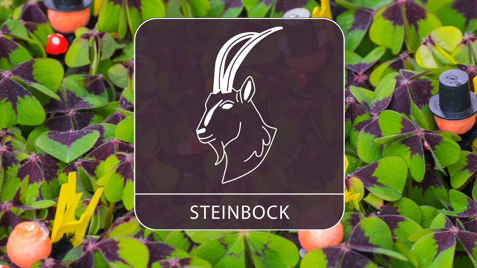 Die Glückstage des Monats für das Sternzeichen Steinbock im Januar 2024 | Astrowoche