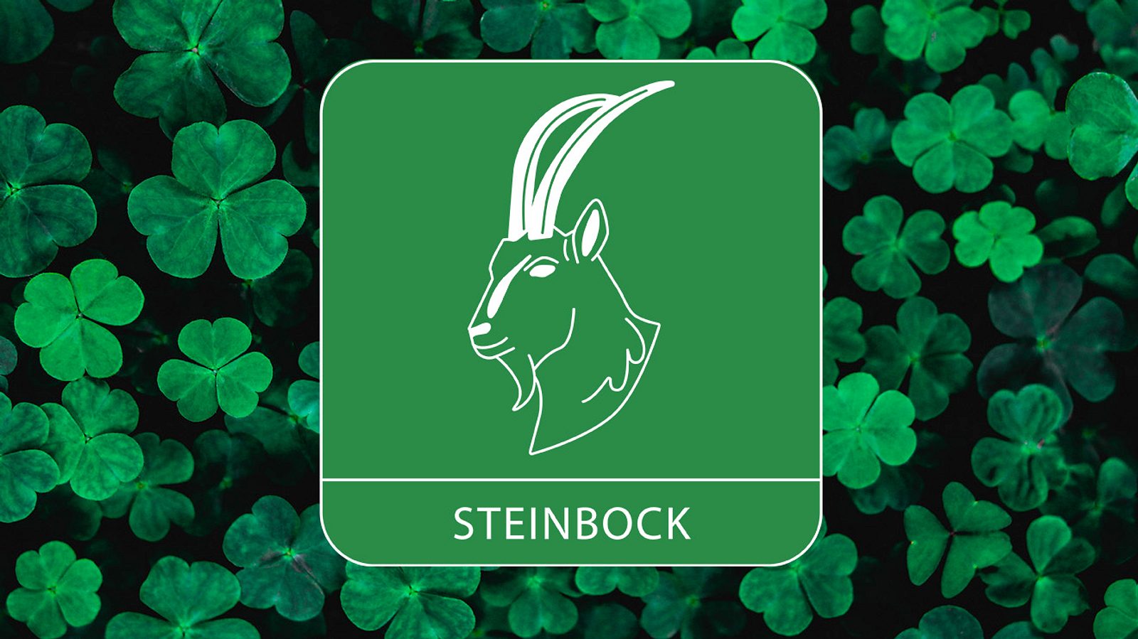 Die Glückstage für das Sternzeichen Steinbock im Dezember 2023 | Astrowoche