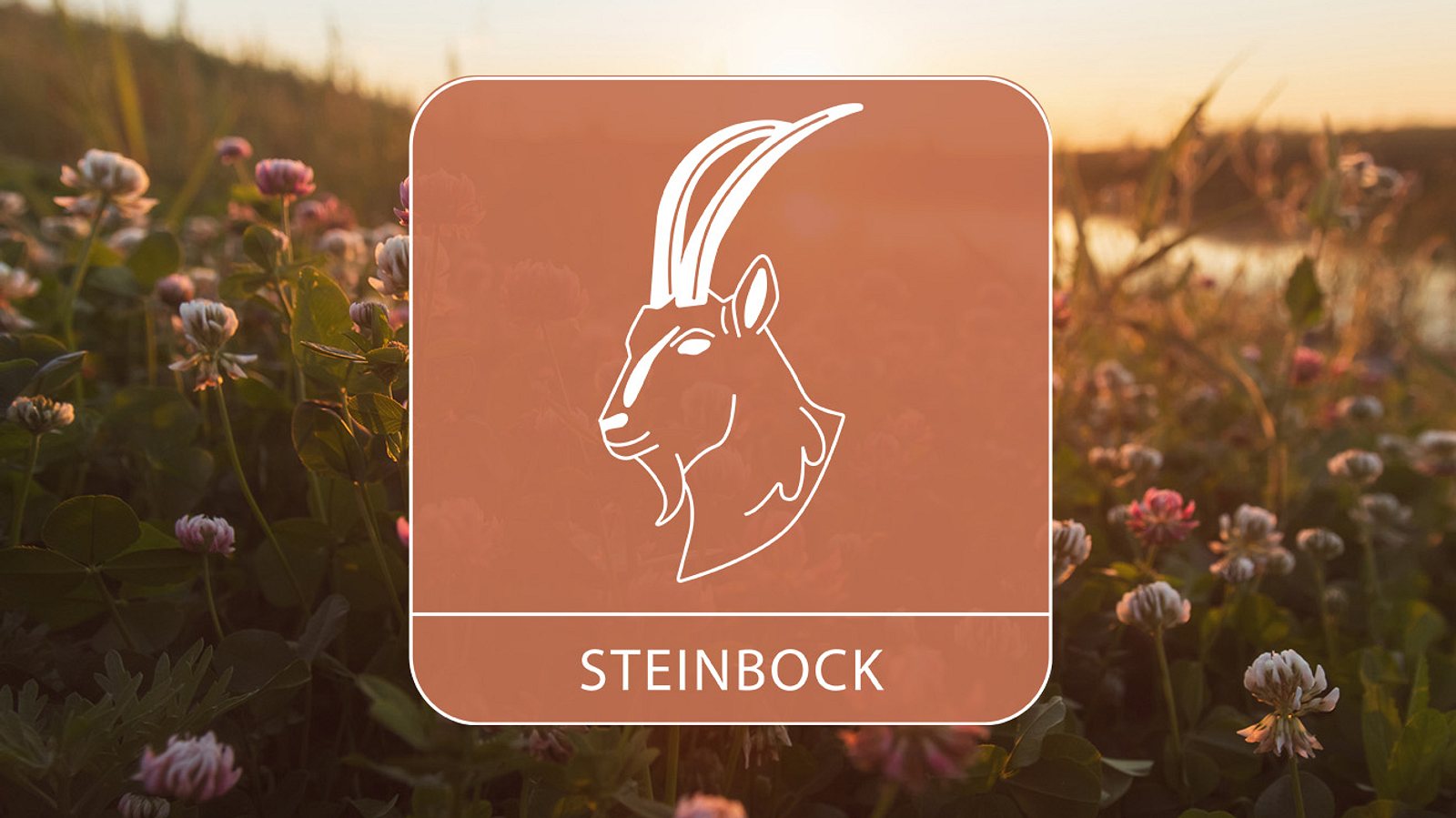 Alle Glückstage für das Sternzeichen Steinbock für Februar 2024 | Astrowoche