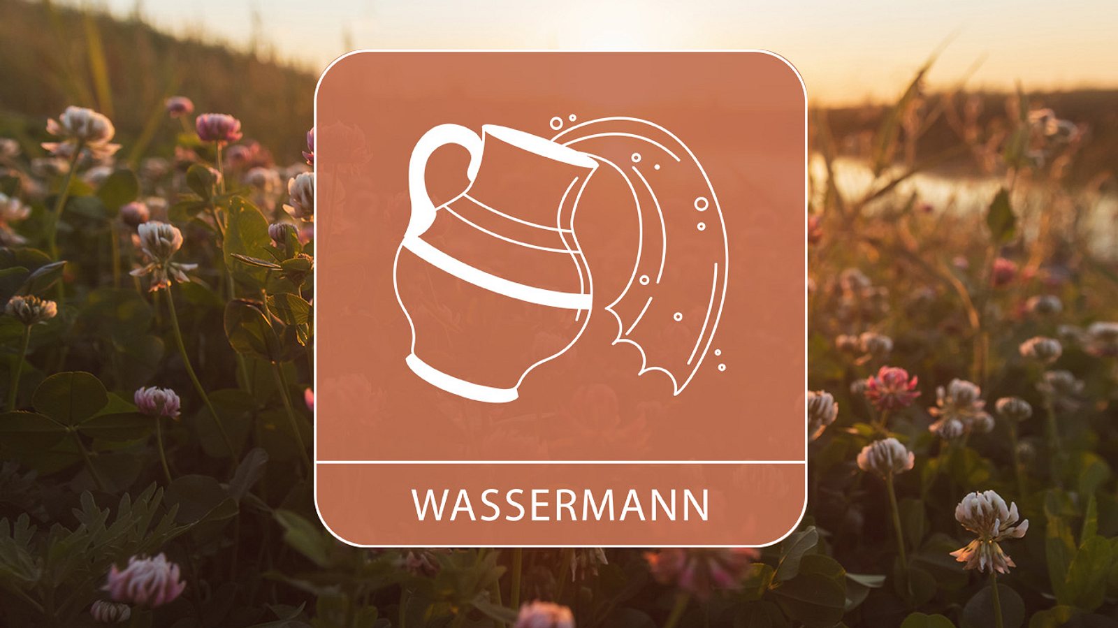 Alle Glückstage für das Sternzeichen Wassermann für Februar 2024 ...