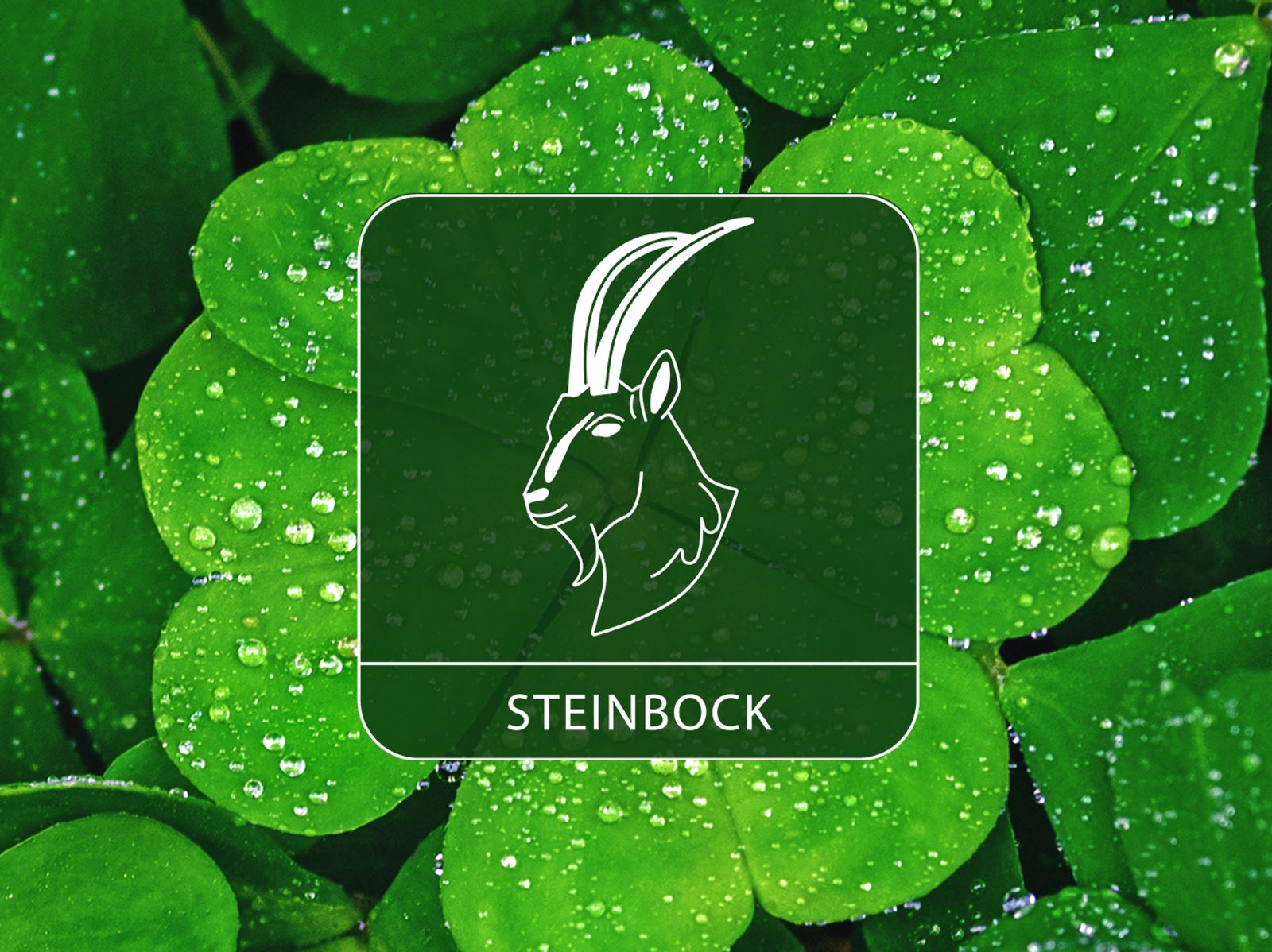 Die Glückstage im Januar 2026: Sternzeichen Steinbock | Astrowoche