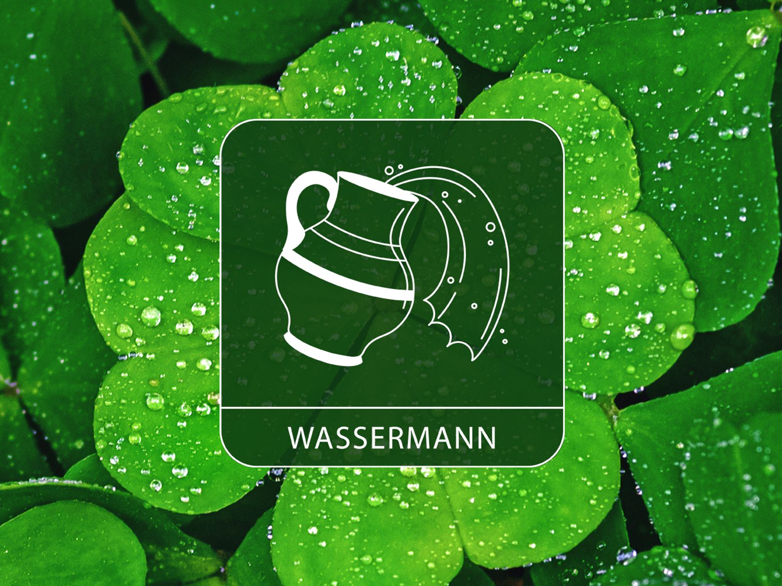 Die Glückstage im Januar 2026: Sternzeichen Wassermann | Astrowoche