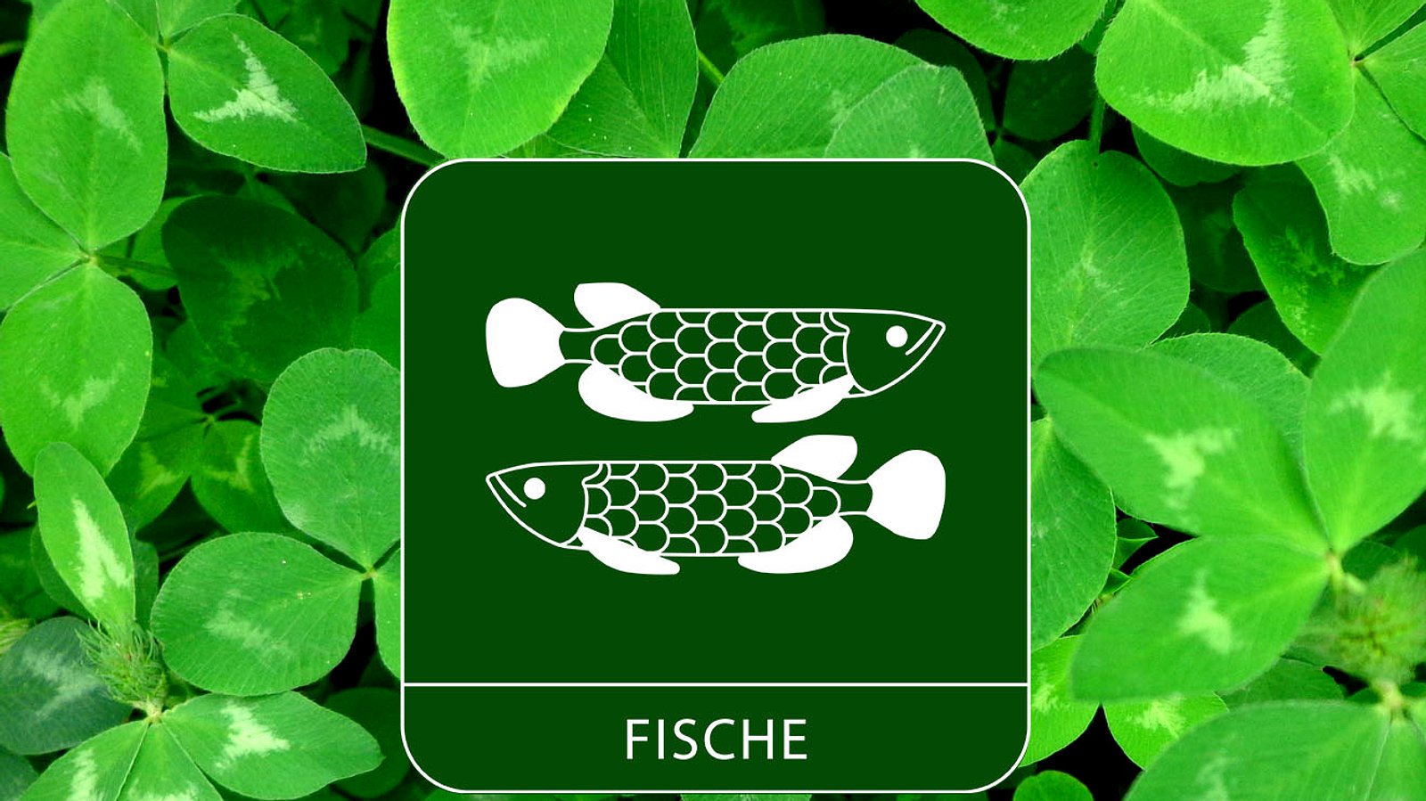 Horoskop Oktober Fische