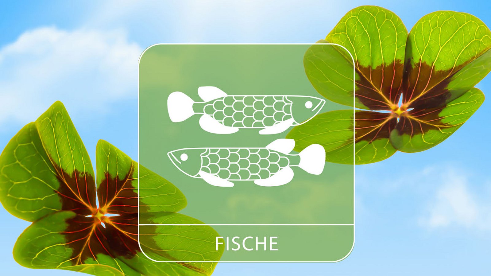 Monatshoroskop Fische Juli 2024
