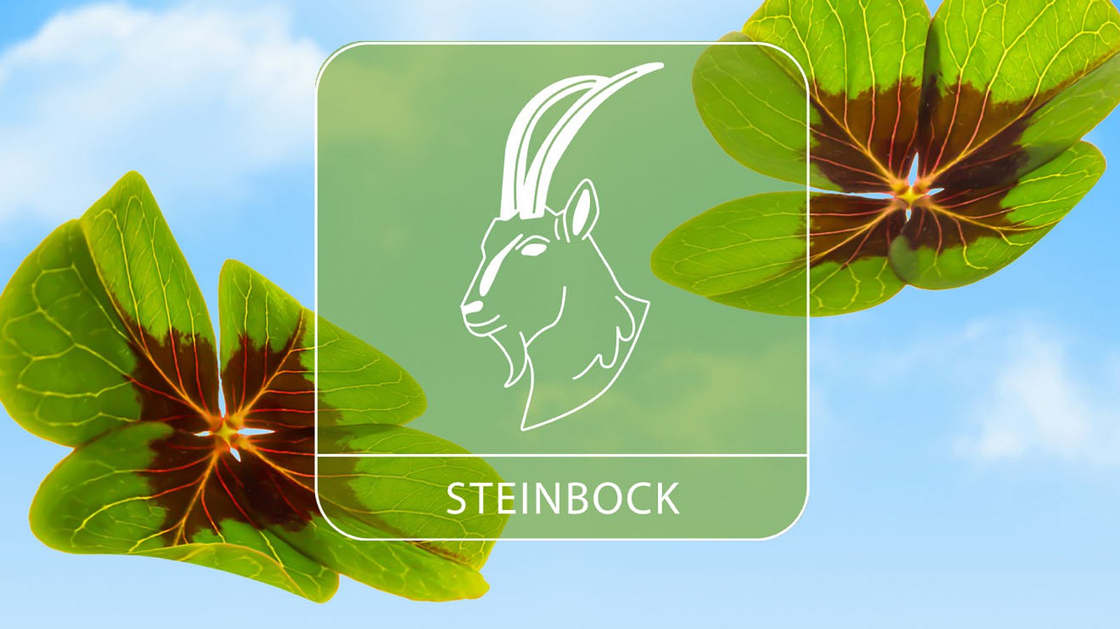 Die Glückstage im Juli 2024 für das Sternzeichen Steinbock | Astrowoche