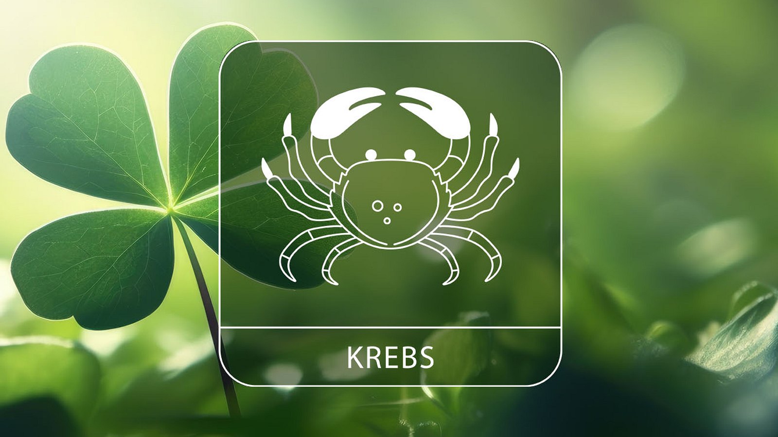 Die Glückstage im November 2024 für das Sternzeichen Krebs | Astrowoche